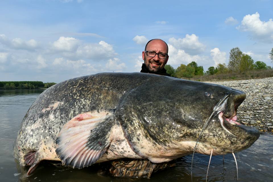 GIGANTICKÝ SUMEC O VÁZE 104 KILOGRAMŮ! Podívejte se na nádherné ...