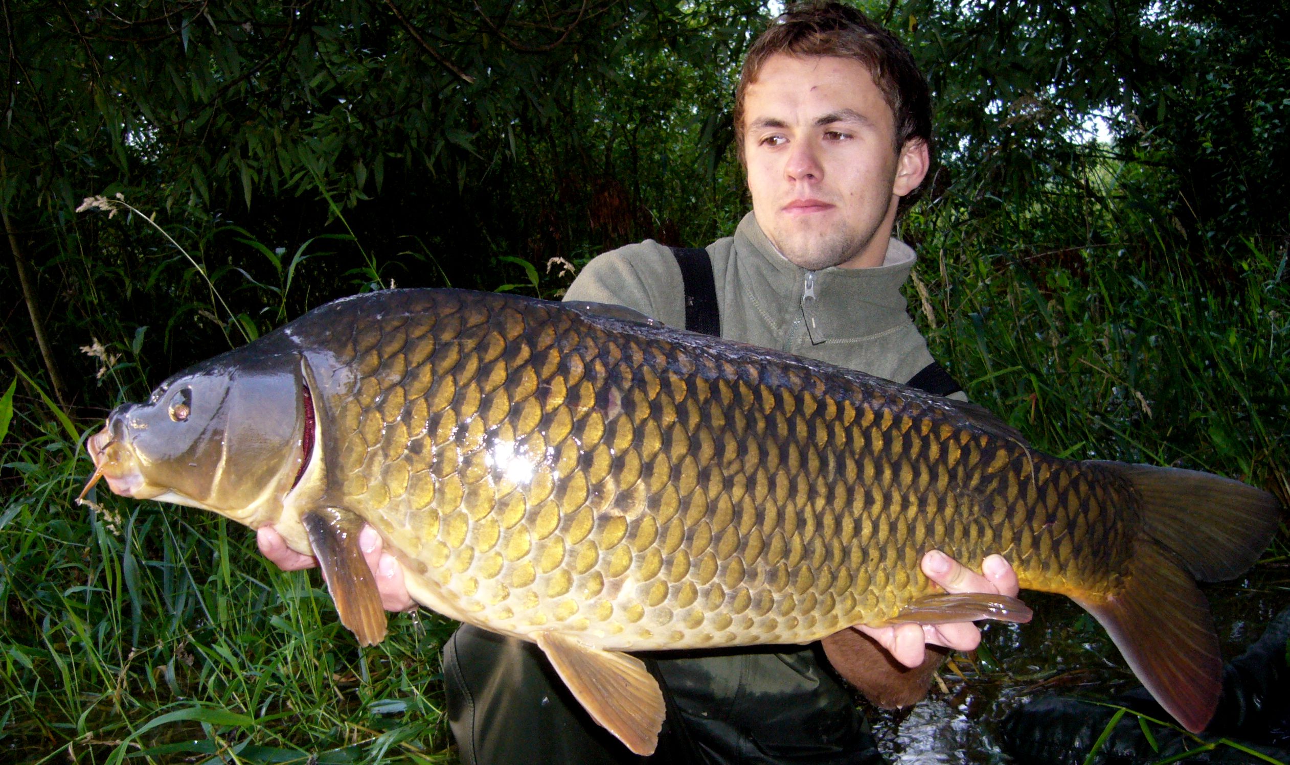KUKUŘICE NA RYBY: TOP nástraha na kapry! Několik důvodů, proč chytat ...