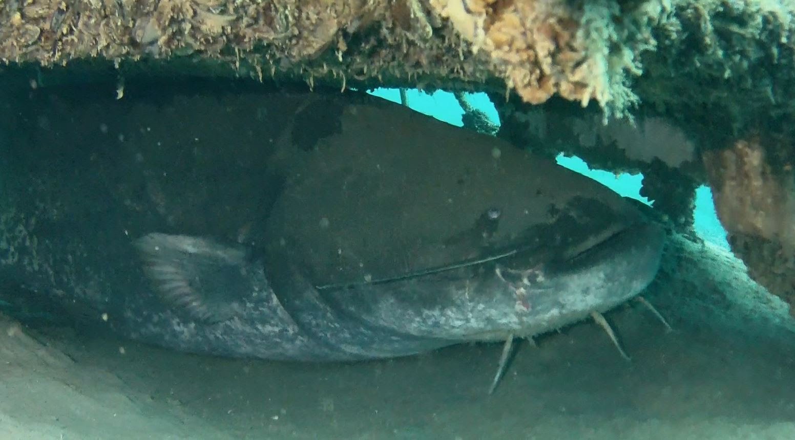 OBROVSKÝ SUMEC: Potápěč našel potopenou stavbu. Byla to skrýš velkého ...