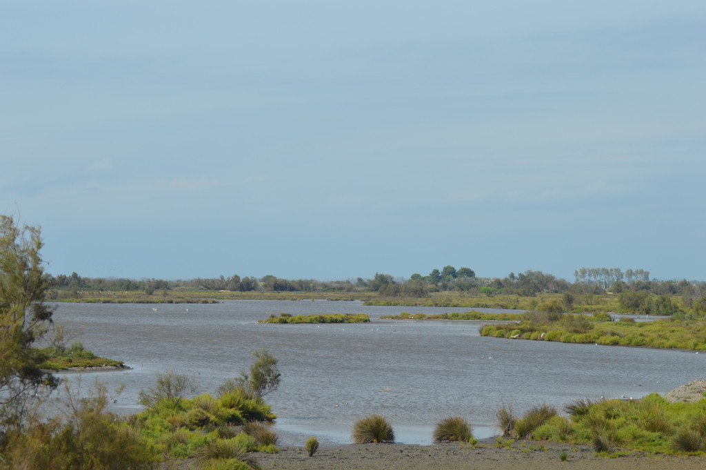 France Fishing Adventure: Evropské rybářské safari | InRybar.cz