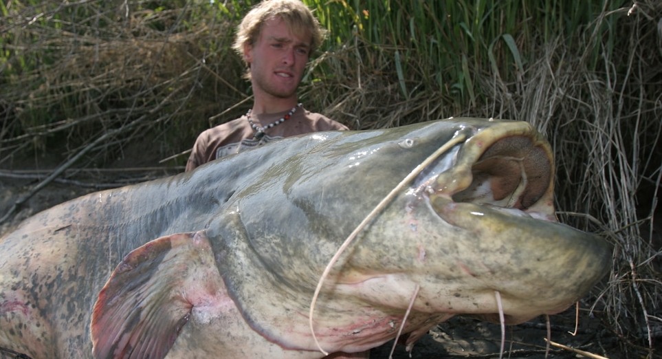 VIDEO: Životní ryba? Jakub Vágner ulovil sumce nad 100 kilogramů ...