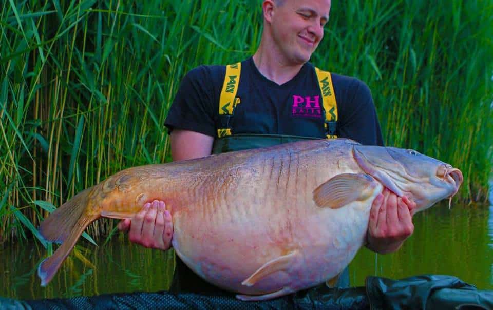 Monstrum! Český rybář ulovil kapra o váze téměř 40 kilogramů! Nádherný lysec! | InRybar.cz