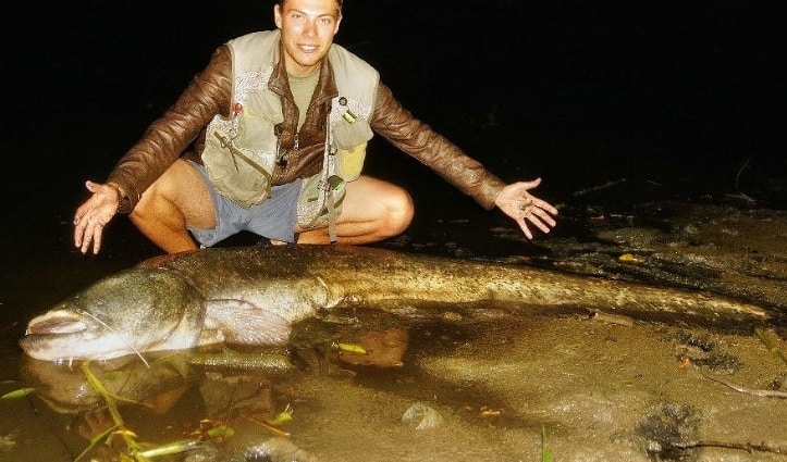 GIGANT: Další obrovský sumec! Rybář na Moravě chytil neuvěřitelné ...