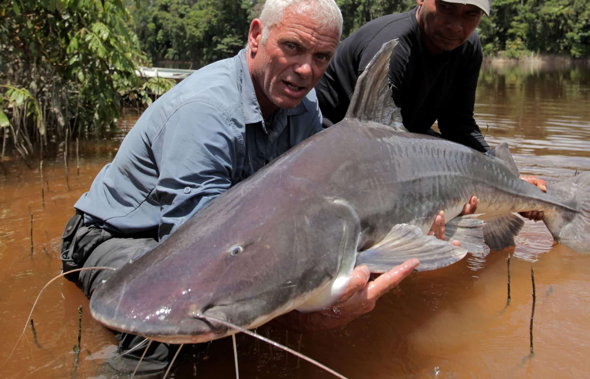 Jaká říční monstra můžete ulovit v Jižní Americe? | InRybar.cz