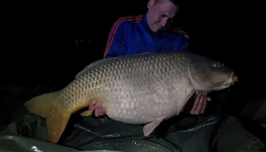 Obrovský kapr z Pálavy: Rybář chytil šupináče o váze 27 kilo! Nádherná ...