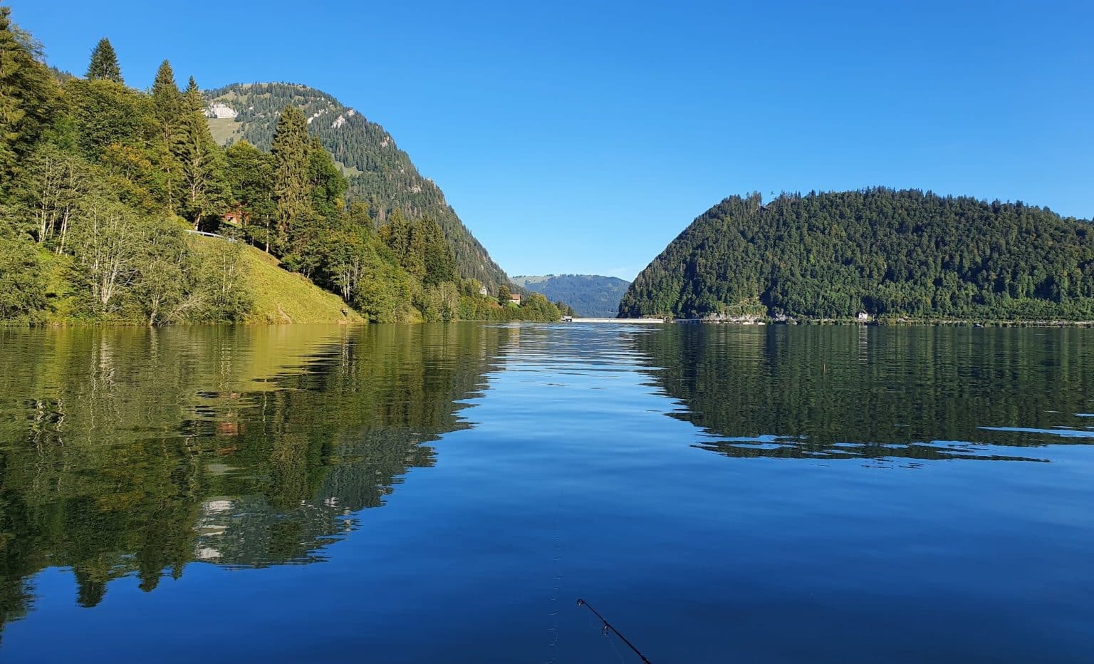 Rybaření ve Švýcarsku: Rybaření v zemi, kde zabíjí 35 kilové kapry ...