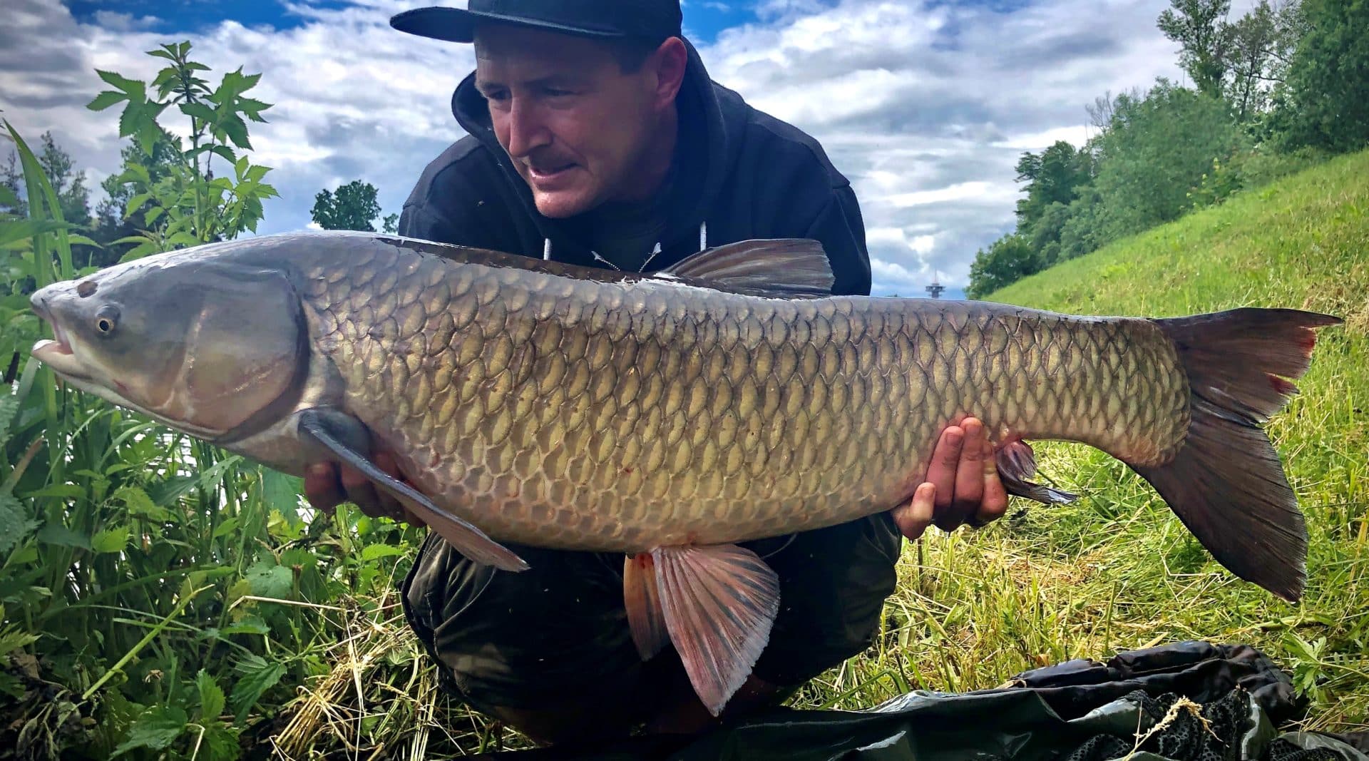 Lov kapitálních amurů: Kde hledat ty největší amury? A jak je zaručeně ...