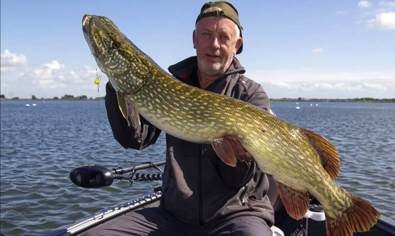 Známý rybář byl pasován na rytíře. V Nizozemsku byl oceněn za jeho ...