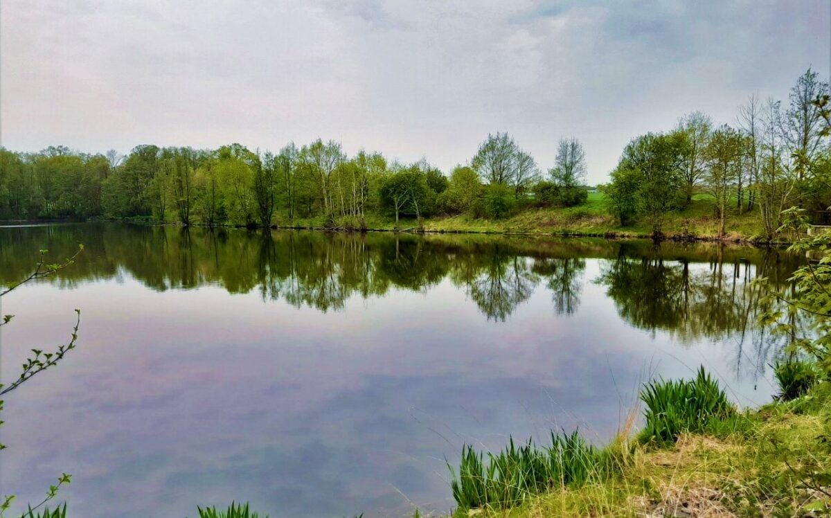 Rybáři z Prahy mají nový revír plný ryb, pronajali si ho od Povodí ...