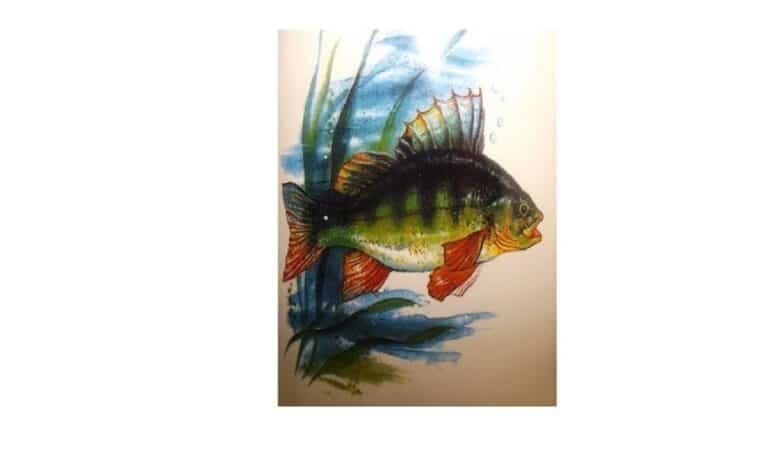 Ručně malované půllitry s nádhernými obrázky ryb: ideální dárek pro ...