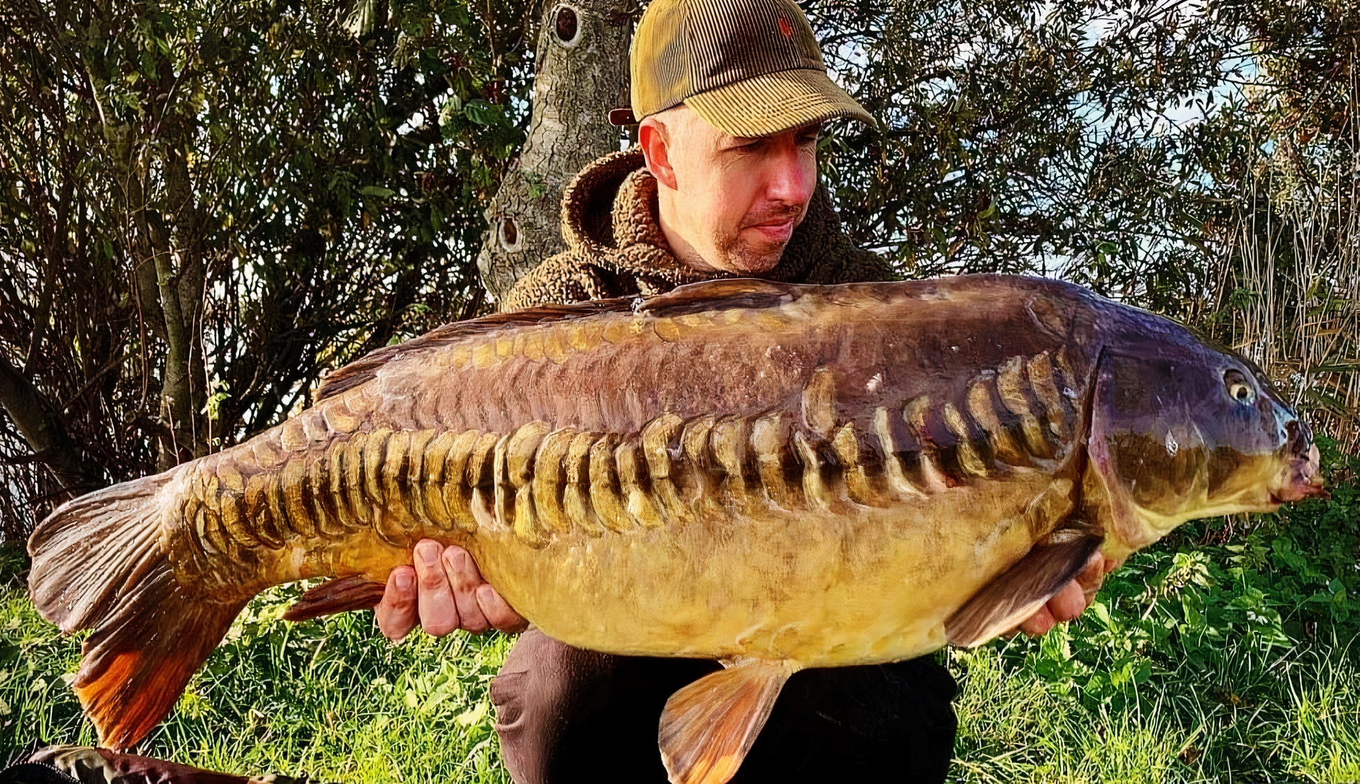 Jeden z nejkrásnějších kaprů sezóny: rybář chytil obrovského kapra ...