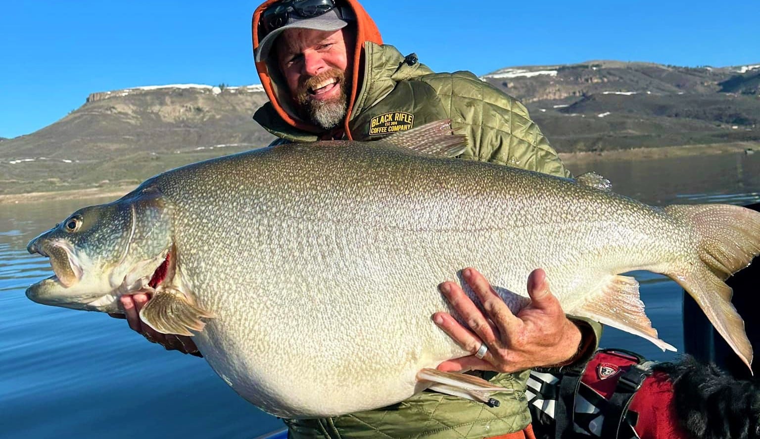 Rybář chytil sivena, který byl širší než on sám. Ryba byla plná lososů ...