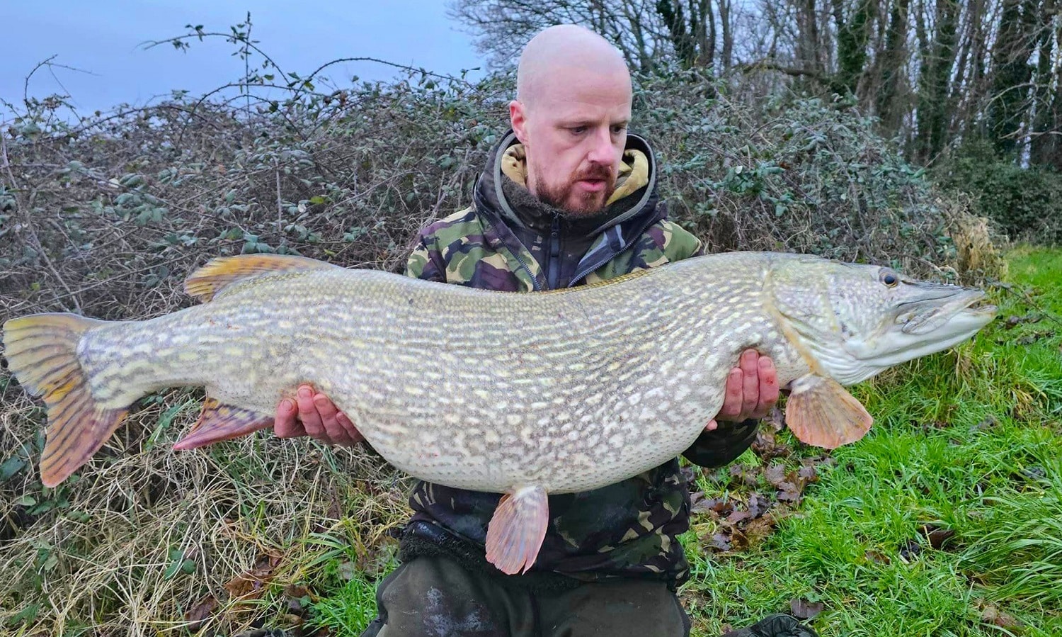 Štičí obluda: rybář ulovil gigantickou štiku. Stanovila nový rekord ...