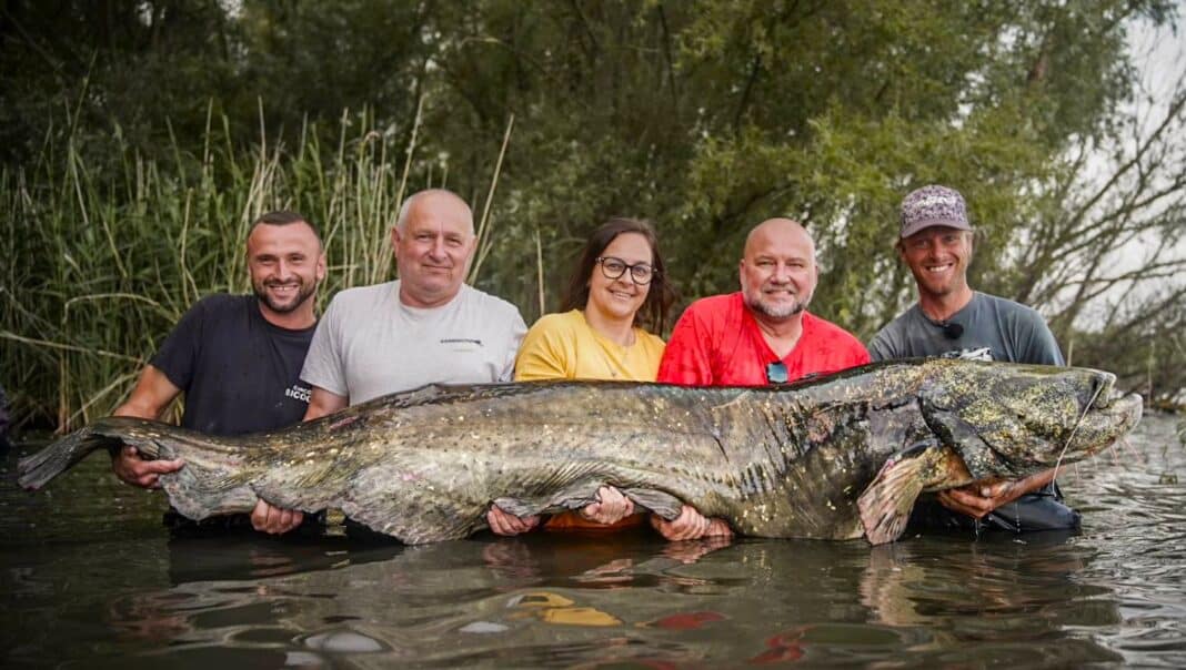 Jakub Vágner stanovil nový český rekord sumce: z vody vytáhl „monstrum ...