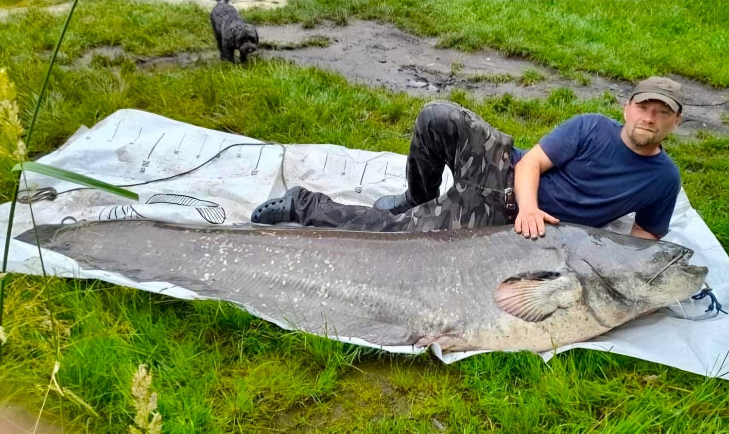 Giga sumec o váze 120 kilogramů: rybář čeká na schválení nového rekordu ...